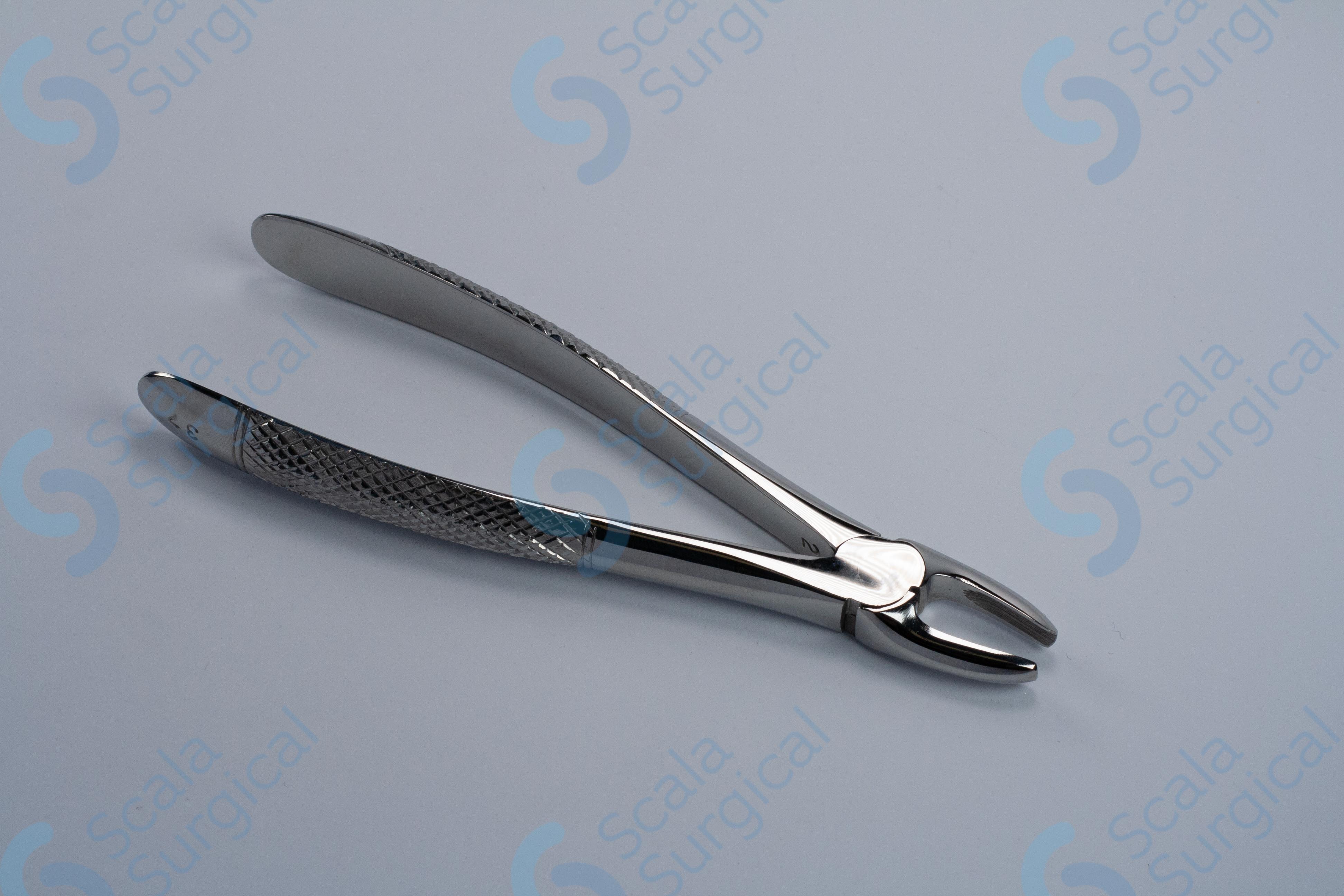 Dental Extracting Forceps No-37 – Scala Surgical Ltd