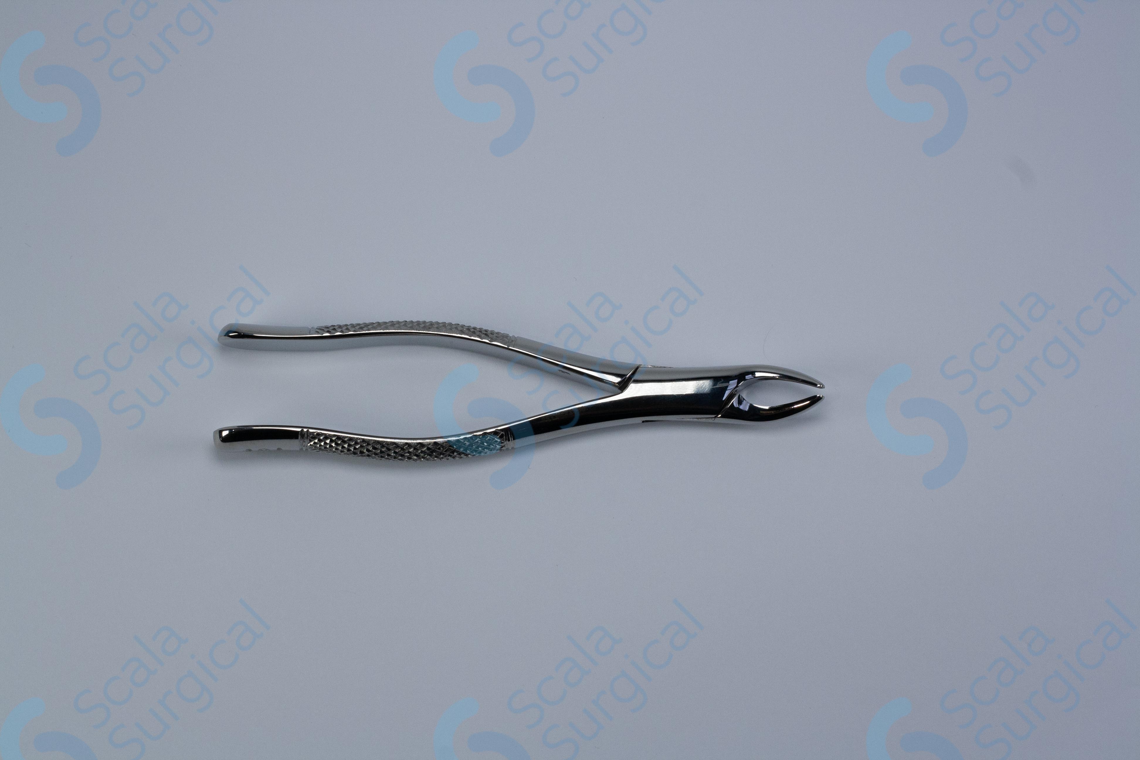 Dental Extracting Forceps No-101 Child – Scala Surgical Ltd