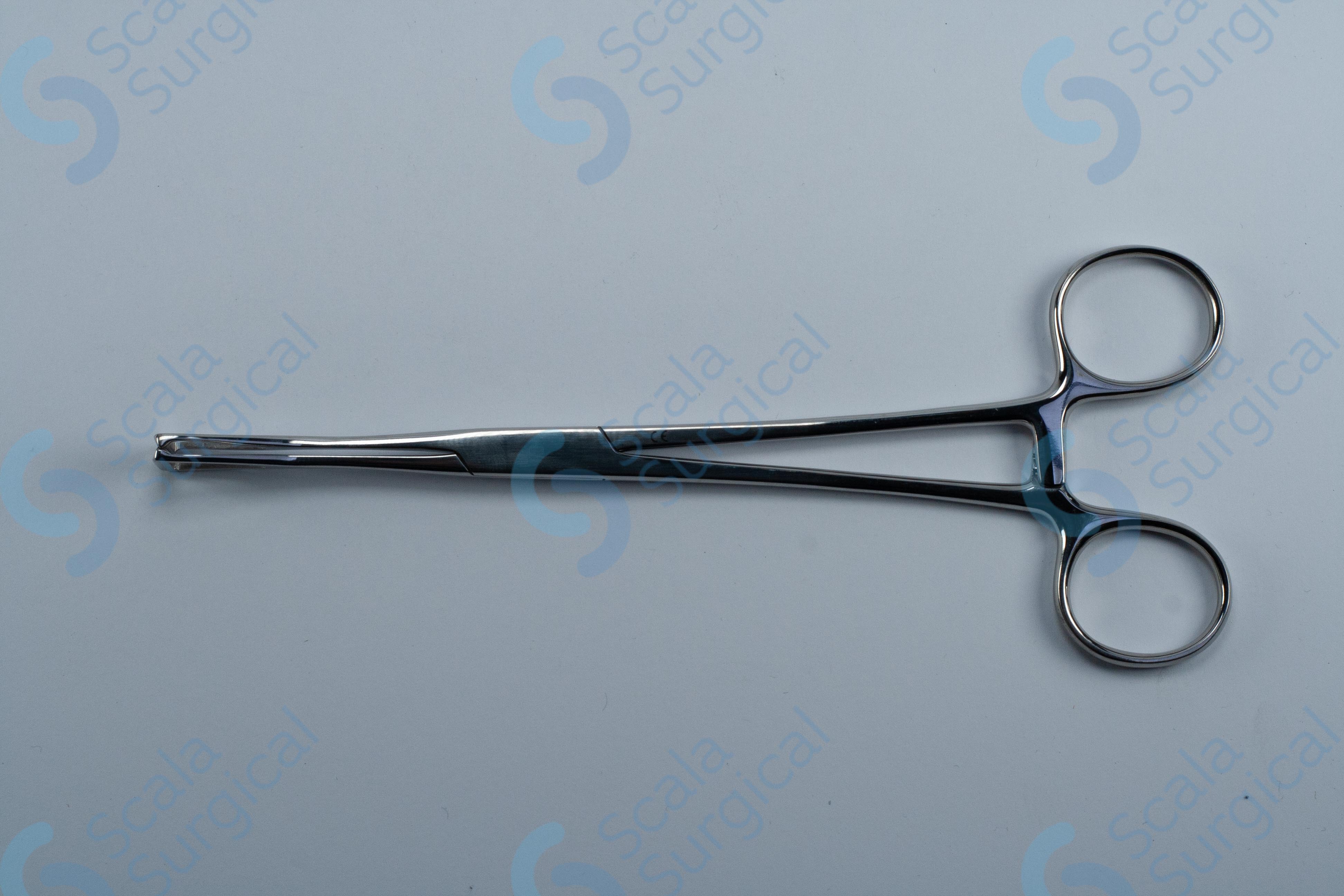 Duval Tissue Forceps Box Joint Serrated (Jaw Width: 13mm) (177.8mm) (7 ...