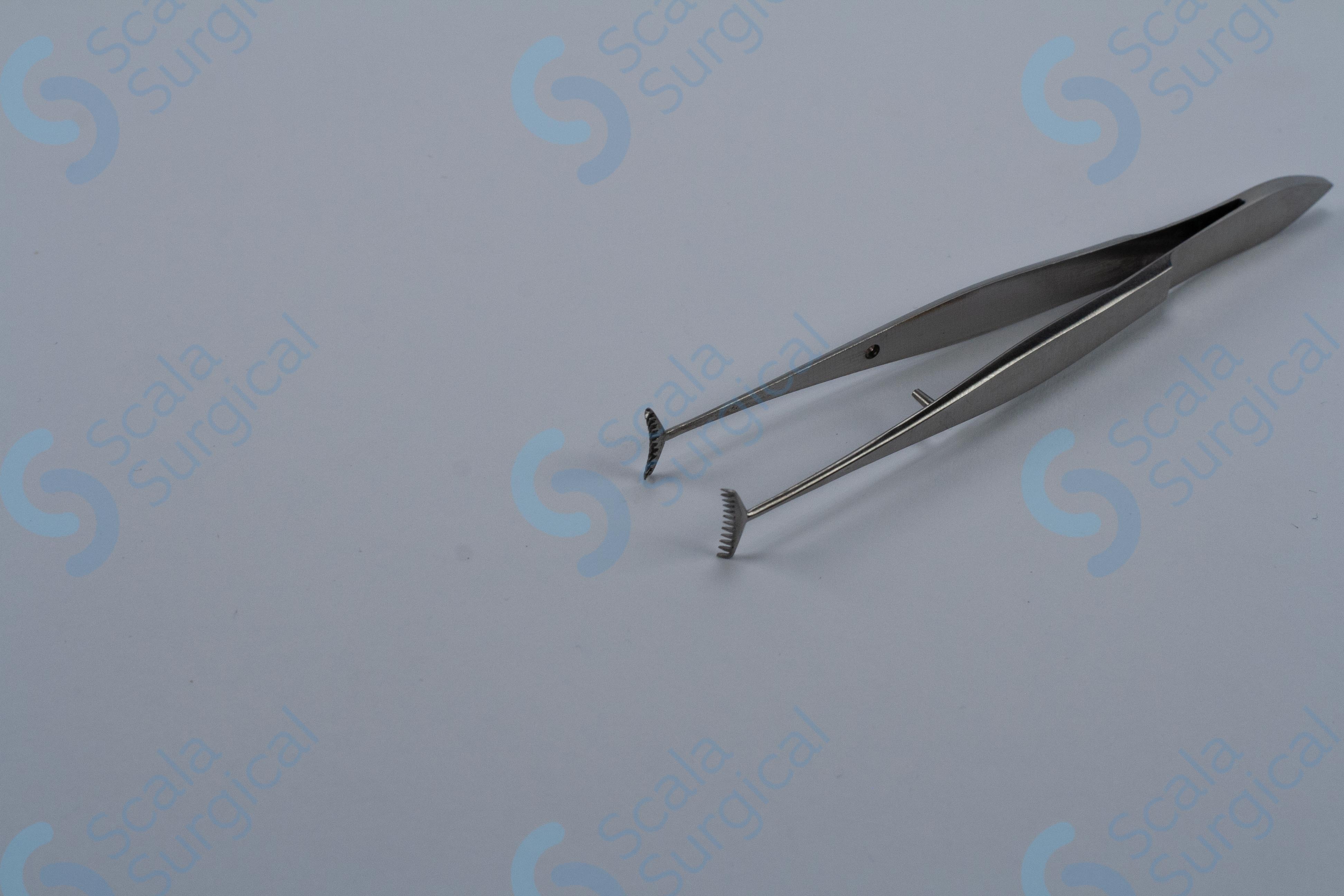 Barraquer Fixation Forceps 9 x 10 Teeth (101.6mm) (4inch) – Scala ...